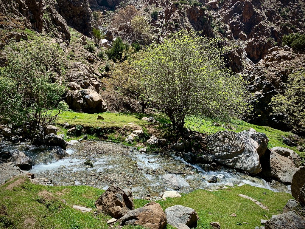Au delà de la 7ème cascade, la rivière Ourika -Haut Atlas à Setti-Fadma ...